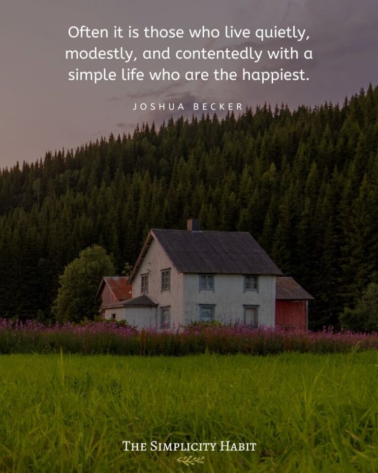 Top 25 Quotes About Living Simply - The Simplicity Habit