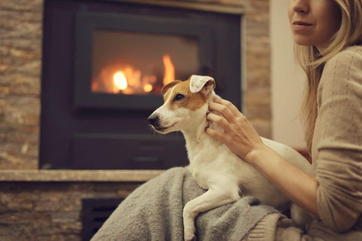 How to Make Your Home Your Sanctuary: 5 Tips to Create a Space You Love ...