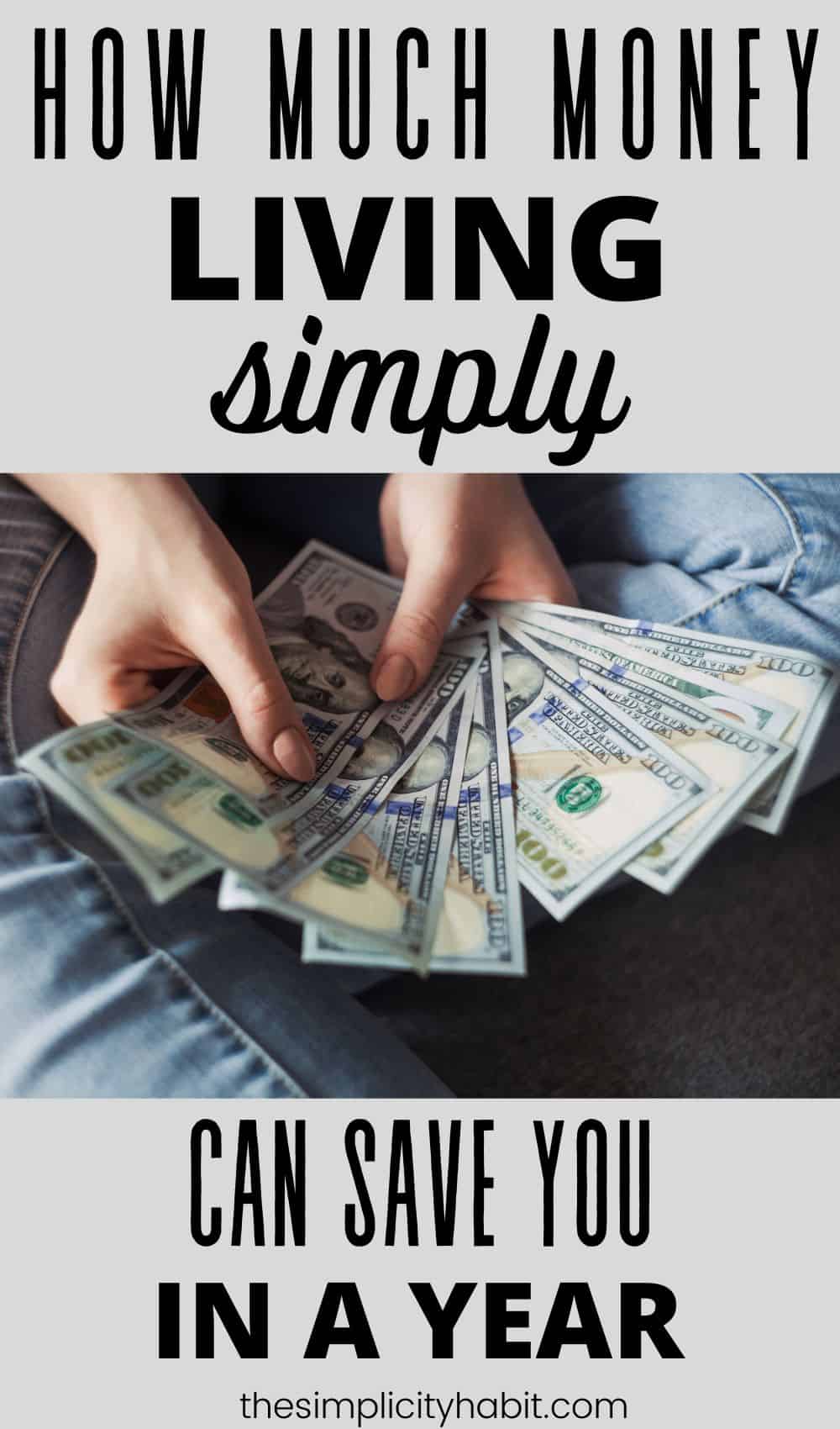 How Much Money Living Simply Can Save You In One Year - The Simplicity ...