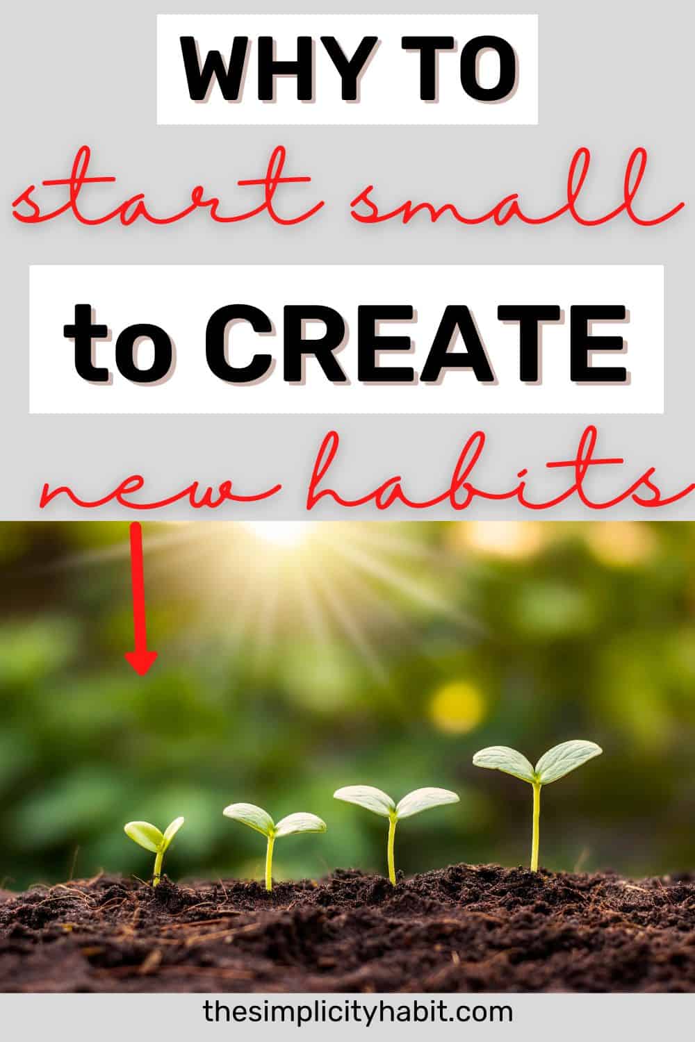 Why Starting Small is the Key to Changing Your Habits, Backed by ...