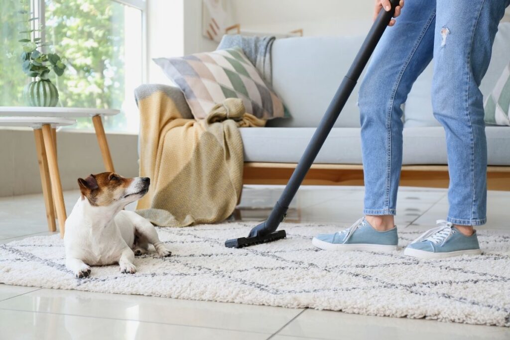 How to Use the ‘One Hour’ Cleaning Method to Make Your Home Sparkle ...